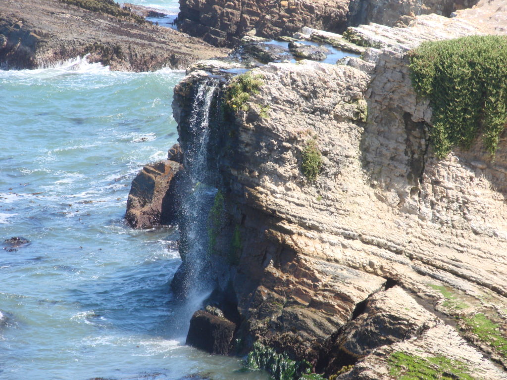 Yesterday was beautiful at the Point Arena-Stornetta Lands. – Mendonoma ...